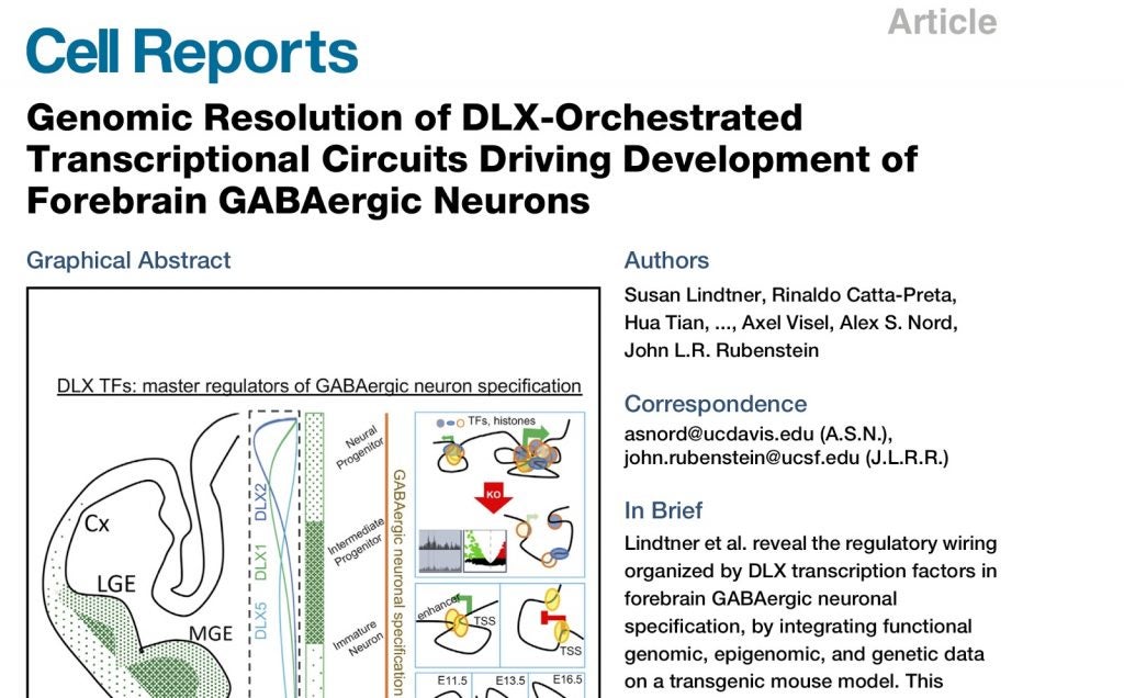 Paper on Dlx TFs published in Cell Reports – Nord Neurogenomics Lab