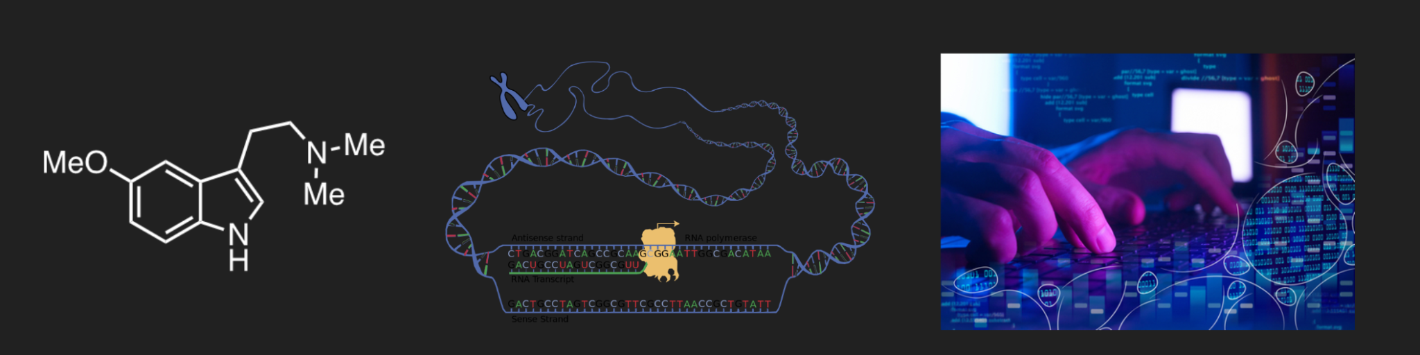 PhD Student Ethan Fenton Receives Human Genetics Focus Group Pilot ...